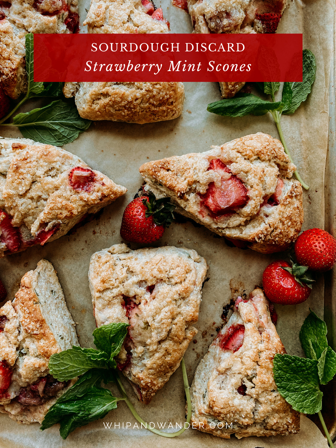 Sourdough Discard Strawberry Mint Scones - Whip & Wander