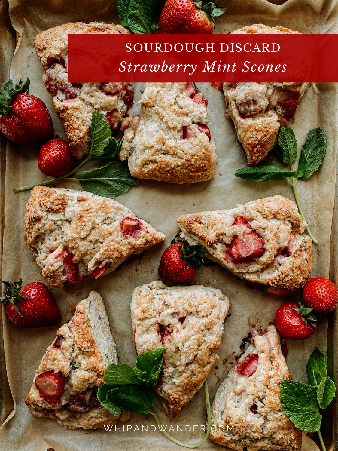 Sourdough Discard Strawberry Mint Scones - Whip & Wander