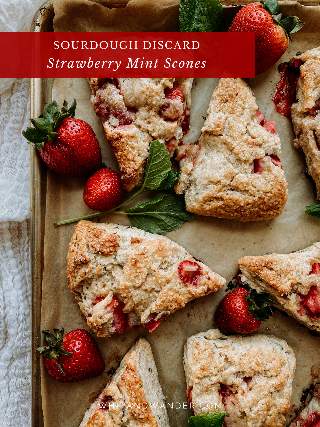Sourdough Discard Strawberry Mint Scones - Whip & Wander