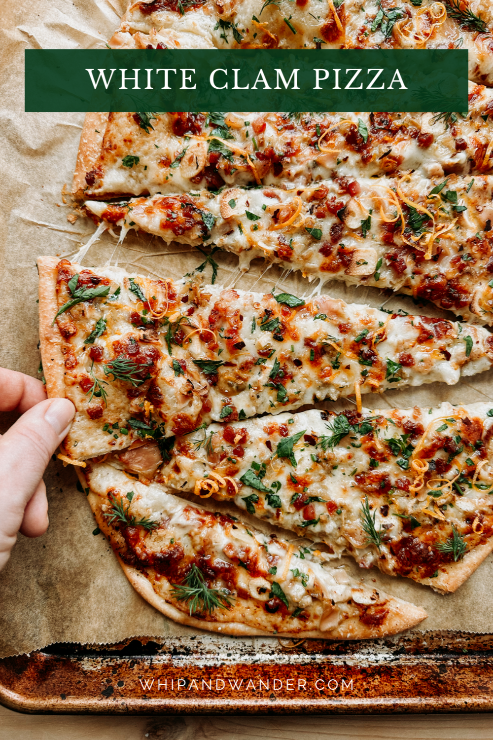 White Clam Pizza - Whip & Wander