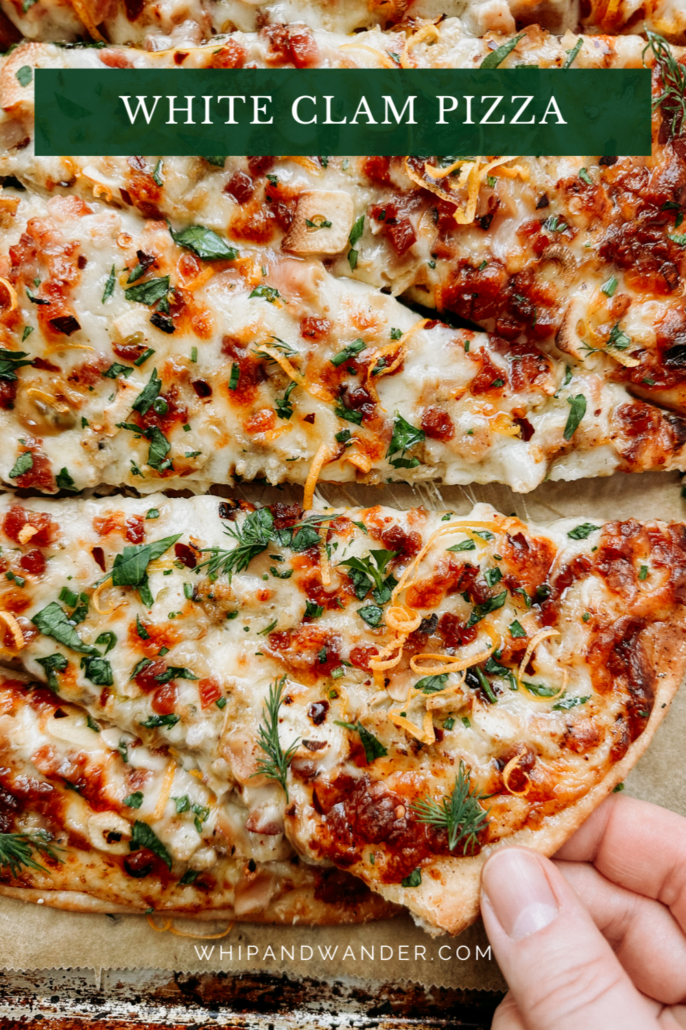 White Clam Pizza - Whip & Wander